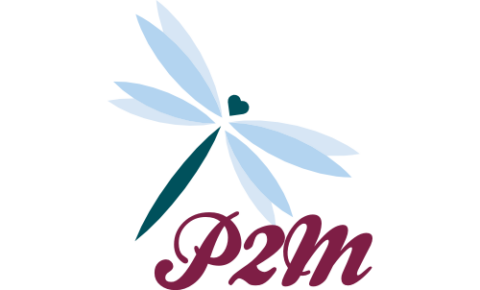 Gestion des Paies et Salariés Simplifiée | P2M